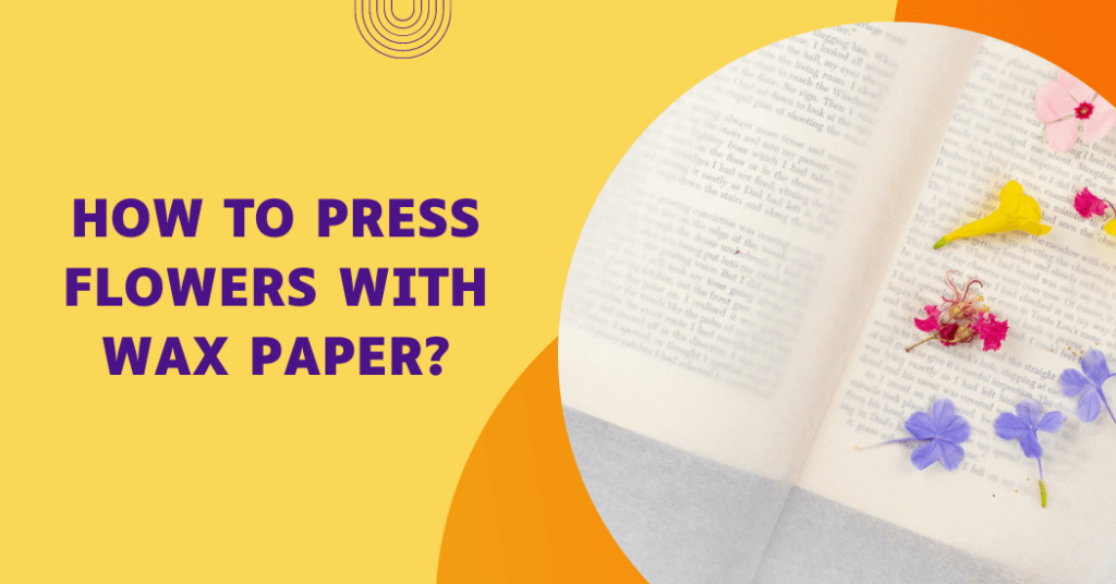 How To Press Flowers With Wax Paper? | Wax Paperie